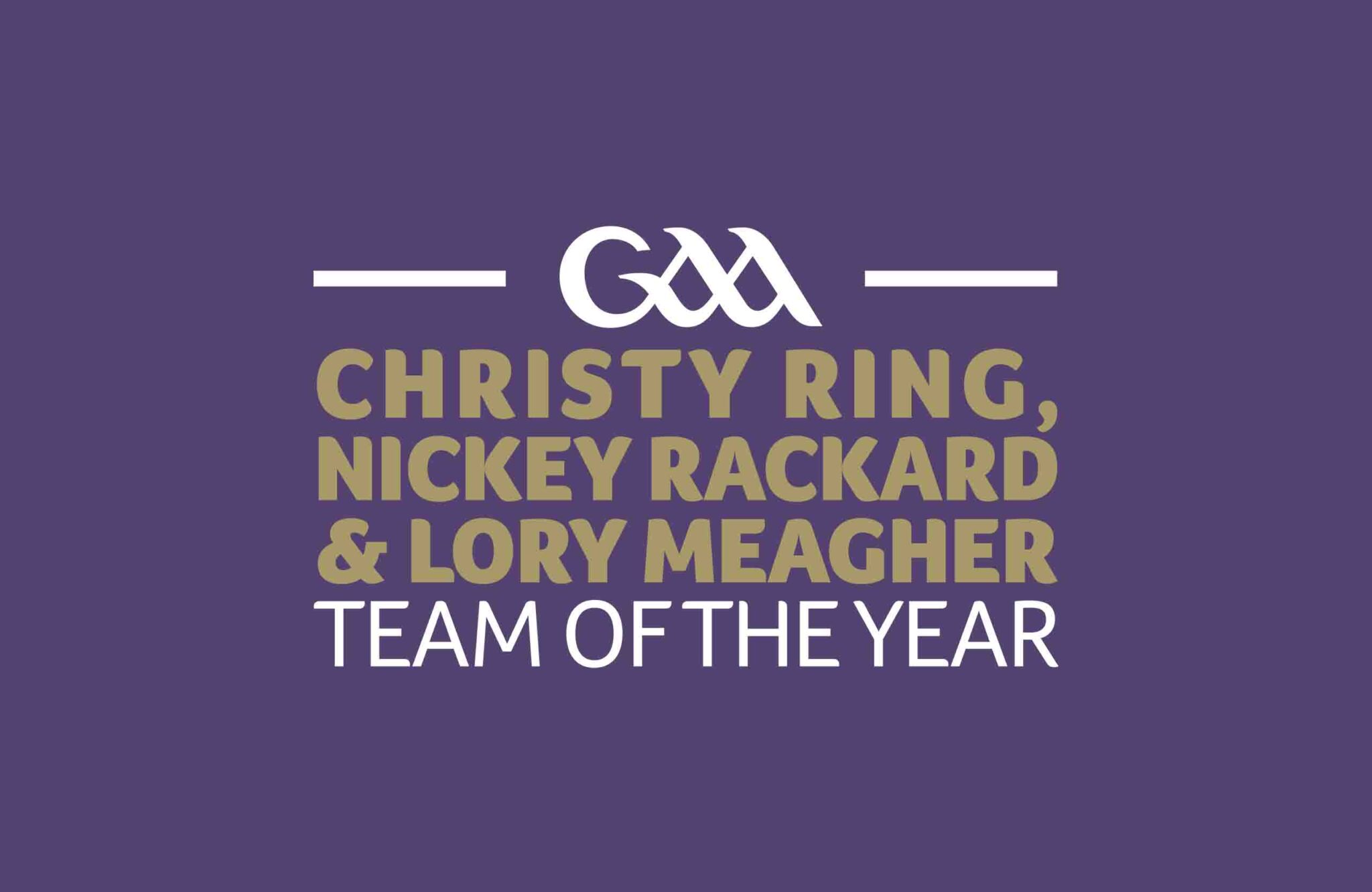 Christy Ring, Nickey Rackard & Lory Meagher Team of the Year - Gaelic ...