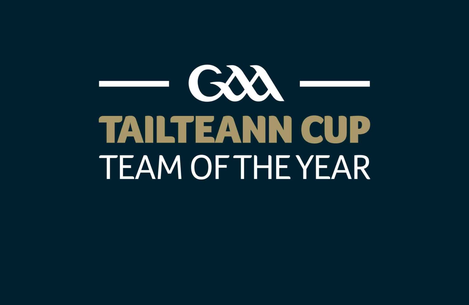 Tailteann Cup Team of the Year - Gaelic Players Association