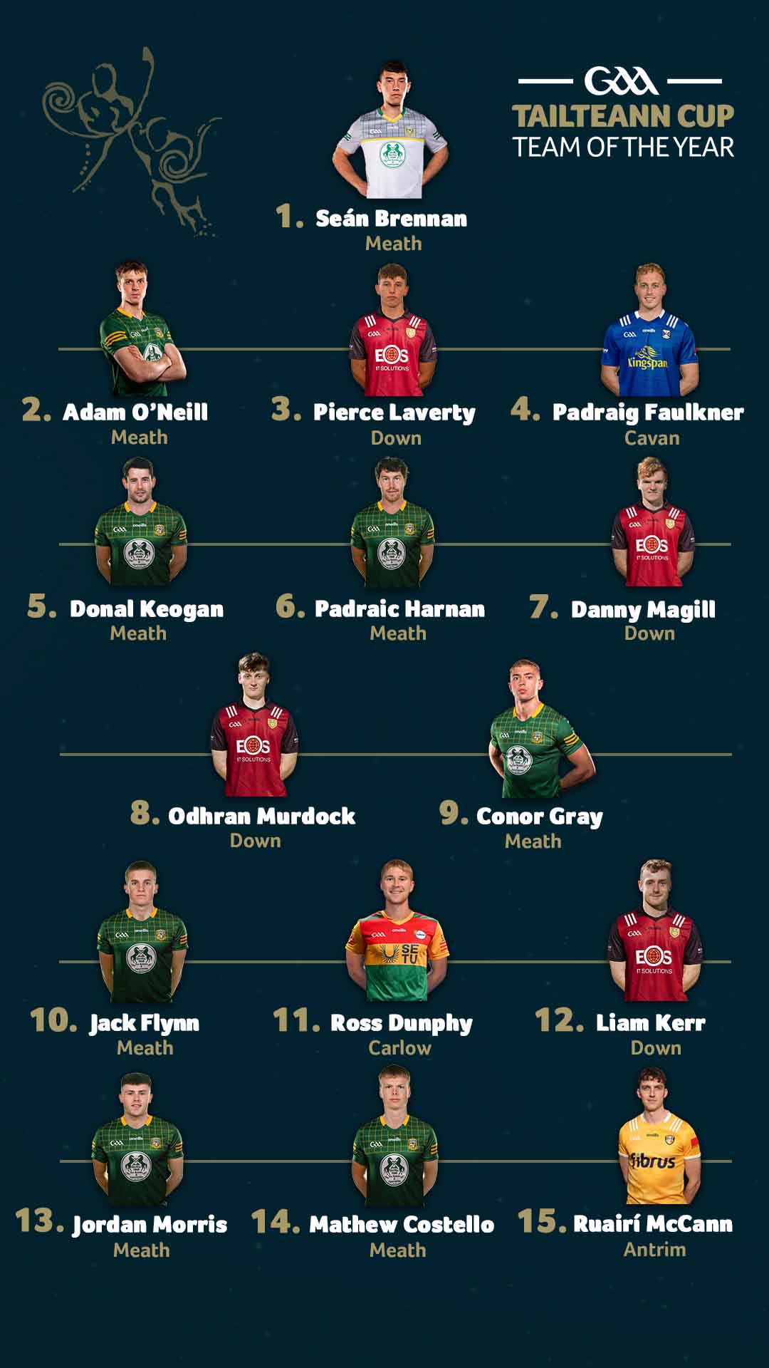 2023 Tailteann Cup Team of the Year - Gaelic Players Association