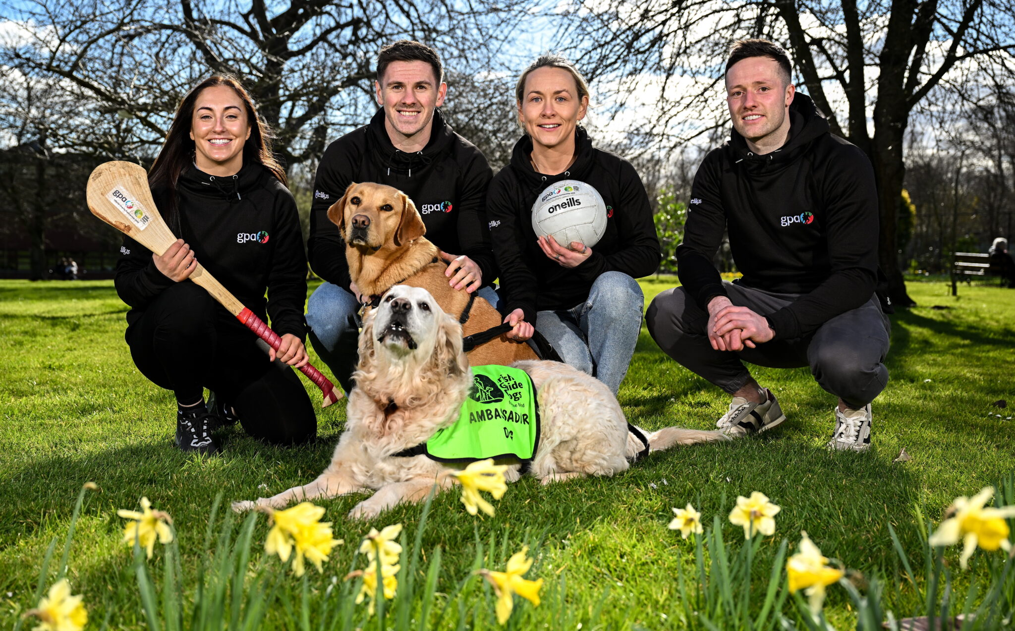The GPA partners with Irish Guide Dogs for the Blind for 2025 - Gaelic ...